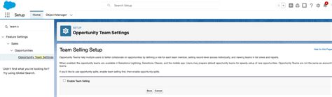 Guide To Salesforce Opportunity Teams Salesforce Ben