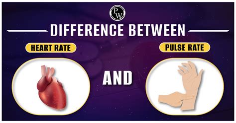 Difference Between Heart Rate And Pulse Rate