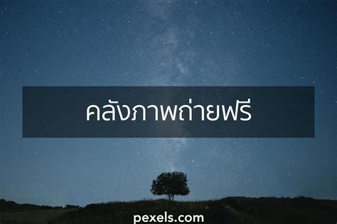 1 000 000 ภาพถ่าย การถ่ายภาพและภาพยนตร์ Sex ที่ดีที่สุด · ดาวน์โหลดฟรี 100 · ภาพถ่ายสต็อก Pexels