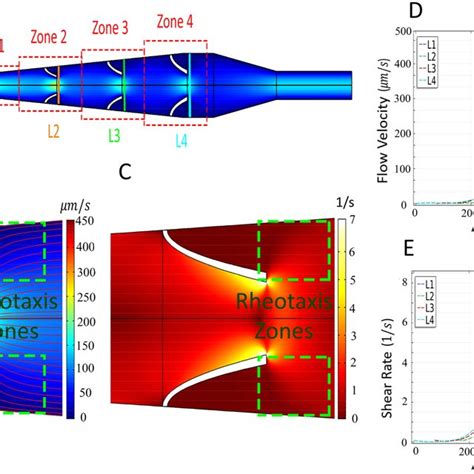 Finite Element Method Simulation Results Of Velocity Field And Shear