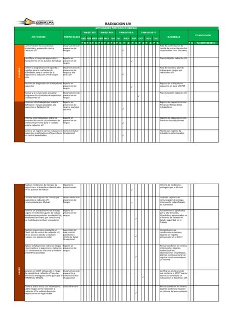 Carta Gantt Protocolos Ministeriales Pdf Higiene Ocupacional