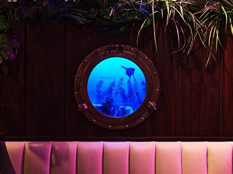 Commodore Ii — The Commodore Bars