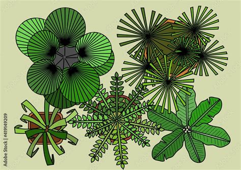 Vector CAD Blocks Style Trees In Top View Stock Vector Adobe Stock