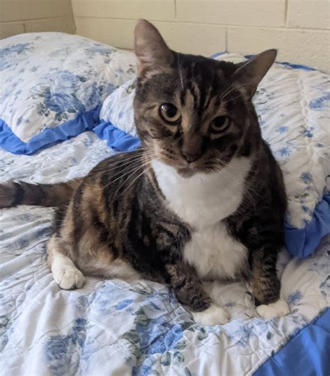 She Looks So Innocent Rchonkers