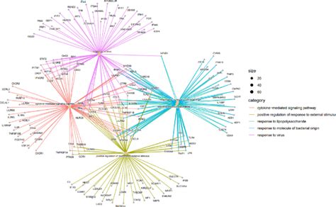 Top 5 Go Terms As A Network Plot These Go Terms Were Connected To
