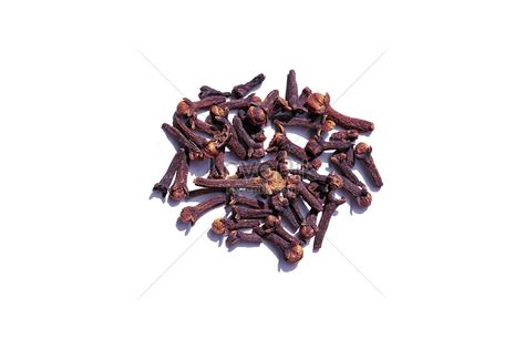 고립 된 흰색 배경에 정향 사진 무료 다운로드 Lovepik