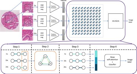Multi Scale Relational Graph Convolutional Network For Multiple