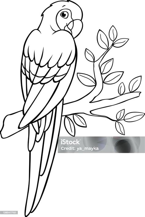 หน้าระบายสี นกแก้วน่ารักนกมาคอว์สีแดงนั่งและยิ้ม ภาพประกอบสต็อก ดาวน์โหลดรูปภาพตอนนี้ นกแก้ว