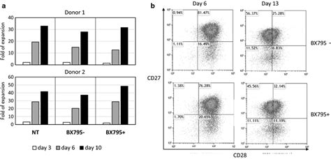 Cell Growth Rate And Cd27 Cd28 Expression Of Transduced T Cells A T