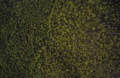 Python 리스트 활용법과 데이터 타입 기본 정리 스파르토바