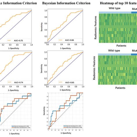 The Study Workflow Diagram I Tumor Segmentation The Tumor Was