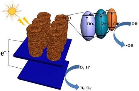 Schematic Diagram Of Zno Tio2 Cds Photoanode Showing The Electron Download Scientific Diagram