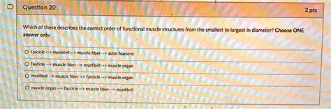 Solved Question 20 2 Pts Which Of These Describes The Correct Order Of