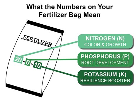 Lawn Fertilizer Numbers Understanding N P K Ratios And What Your Grass Needs