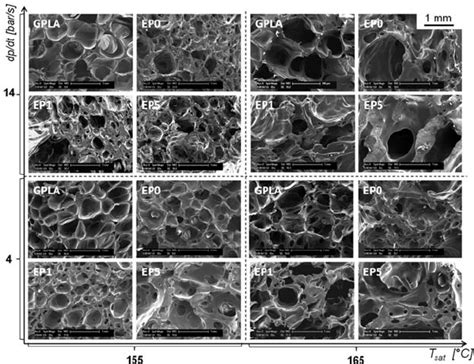 Scanning Electron Microscope Sem Micrographs Of Foams Obtained For