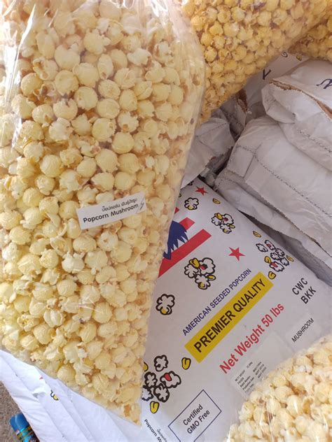 ขายเมล็ดข้าวโพดคั่ว🌽🍿 ทรงกลม Mushroom Popcorn ตรานกอินทรีย์🦅 แบ่งขาย ขั้นต่ำ1kg และยกกระสอบ ส่ง