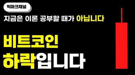 비트코인 Etf 승인 이후에도 하락하는 진짜 이유 Youtube