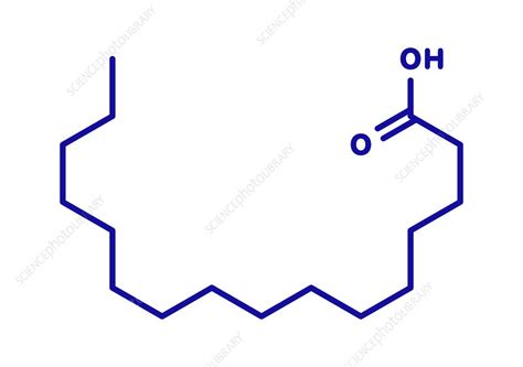 Palmitic Acid Saturated Fatty Acid Molecule Stock Image C0457853