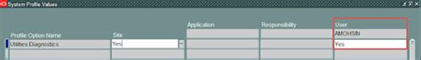 Oracle Apps R12 Help How To Enable Help Diagnostics Examine Menu In
