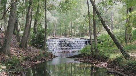 Step Mom And Step Aunt Videos Download The Best Free 4k Stock Video Footage And Step Mom And Step