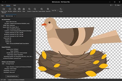 Open EMZ Files With File Viewer Plus