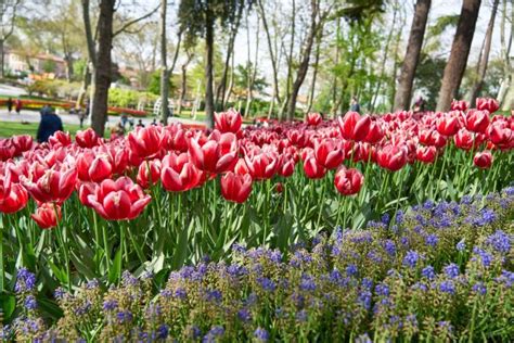 【歐洲旅遊】土耳其超值選～鬱金香花季、特洛伊傳奇、世界文化遺產、兩晚洞穴飯店10日 Kkday