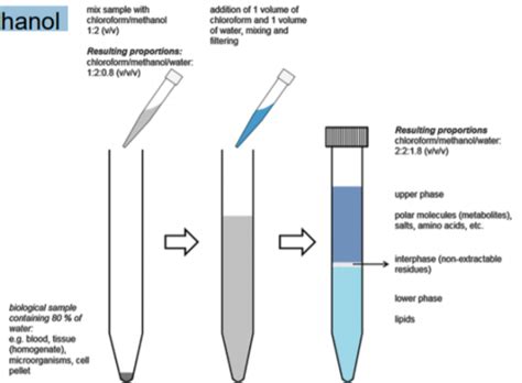Extraction Flashcards Quizlet