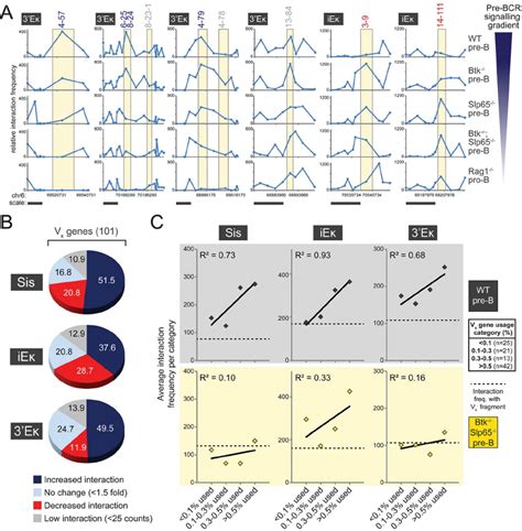 Long Range Chromatin Interactions Of K Regulatory Elements Correlate Download Scientific