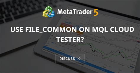 Use Filecommon On Mql Cloud Tester Commodities Trading Expert