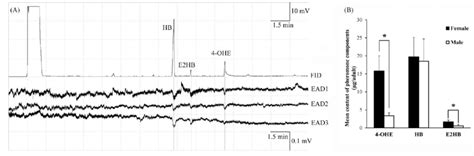 Laboratory Based Identification Of The Putative Sex Pheromone Of Lygus Download Scientific