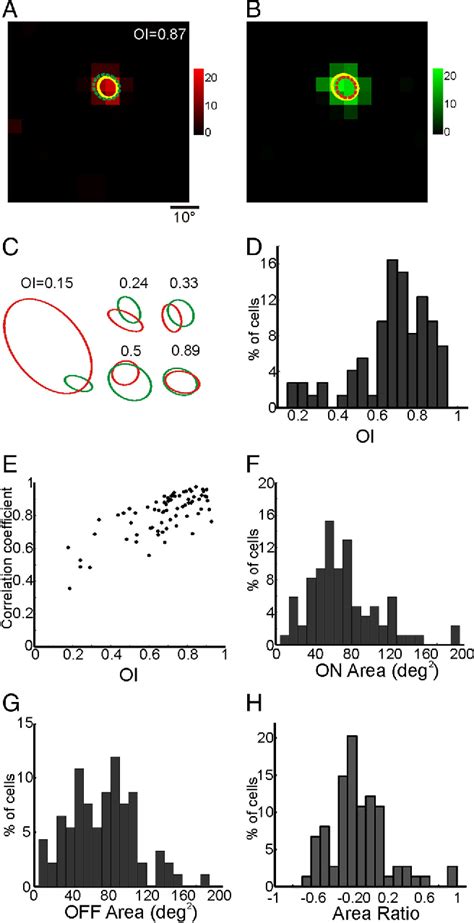 Figure 2 From Visual Receptive Field Properties Of Neurons In The