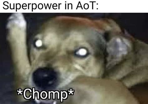 Eren Every 5 Seconds Rattackontitan