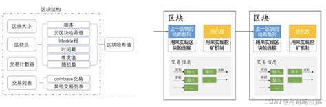 区块链基石：区块头、体与数据结构详解 csdn博客