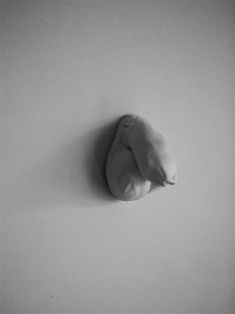 Flaccid Sex N Flaccid Sex Collection Etsy