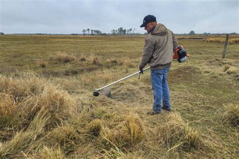 ECHO SRM X X Series String Trimmer Review Pro Tool Reviews