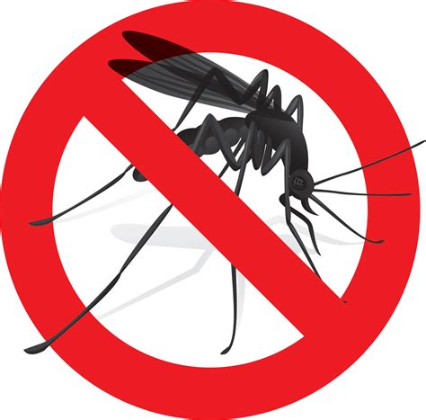 What You Need To Know About The Zika Virus