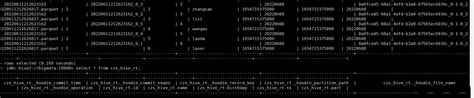 hudi数据湖 基于flink、spark湖仓一体、实时入湖保姆级教学