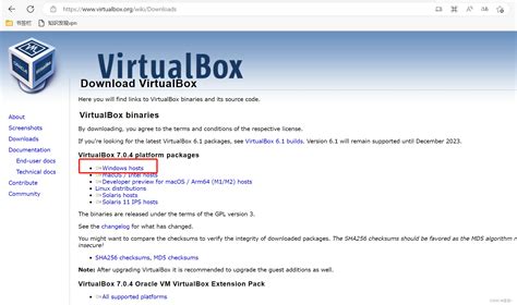 【超详细】使用oracle Vm Virtualbox 搭建一个linux虚拟机oracle Vm Virtualbox安装linux Csdn博客