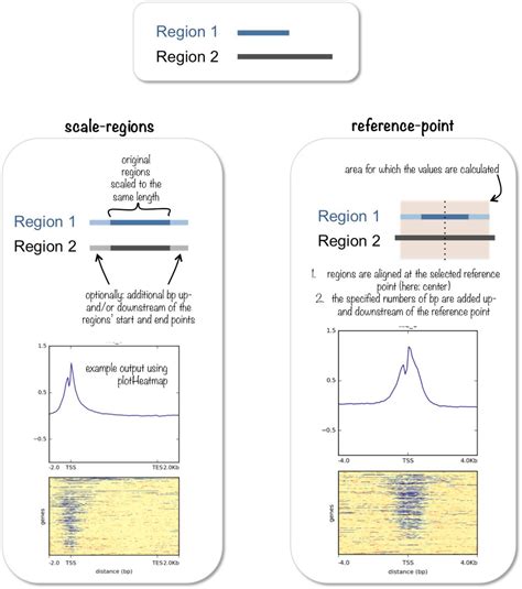 如何使用deeptools查看reads分布特征 大数据 亿速云