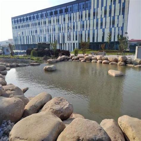 灵璧县渔沟镇鸿杨石业