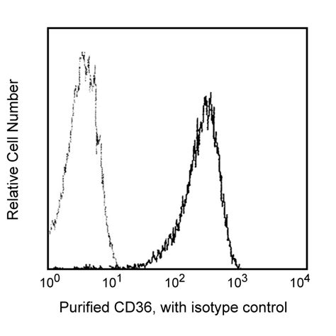 Purified Mouse Anti Human Cd36