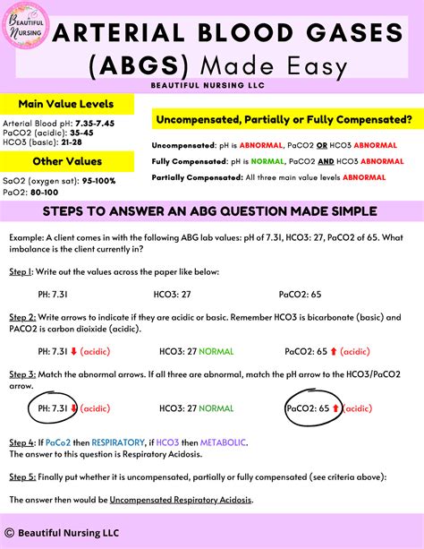 Abgs Made Easy Copyright Bn Example A Client Comes In With The Following Abg Lab