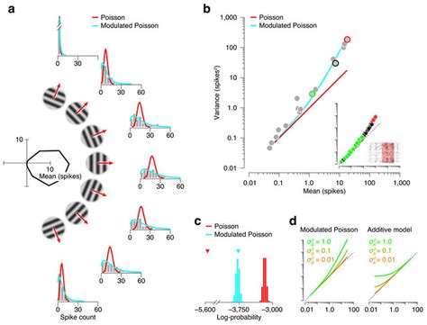 Neural Response Variability Originates In Substantial Part From Gain