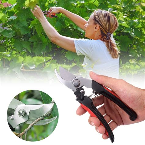 Plant Shears Pruner Secateurs Pruning Scissors Byp Grandado