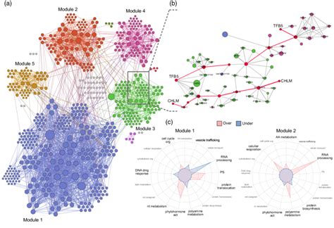 Meta Network Regulatory Analysis A Meta Network Constituted By Five
