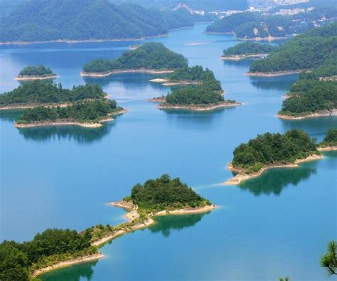 浙江省有电子商务交易活动的企业数 个 鸥维数据