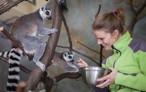 Zookeeper Assistant Certification Animal Behaviour College