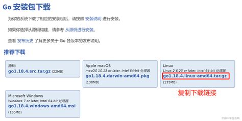 Linux系统下安装go语言环境linux查看go版本 Csdn博客