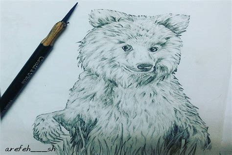 گالری عکس خرسی 96 جدید تــــــــوپ تـــــــــاپ