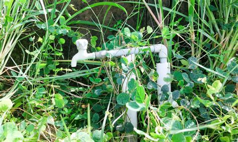 ചേ റ്റു വ പ ട ന്ന തീ ര പ്ര ദേ ശ ത്ത് കു ടി വെ ള്ള മെ ത്തി യി ട്ട് ഒ രാ ണ്ട് Drinking Water